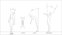 Structural Anthropometry – eLearning & Certifications