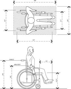 Structural Anthropometry – eLearning & Certifications